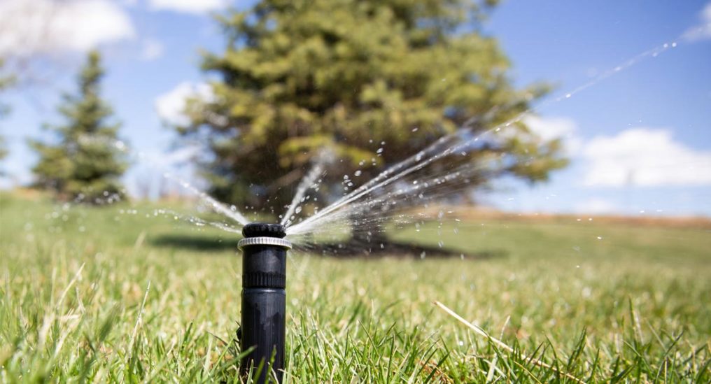 Sprinkler & Irrigation Services