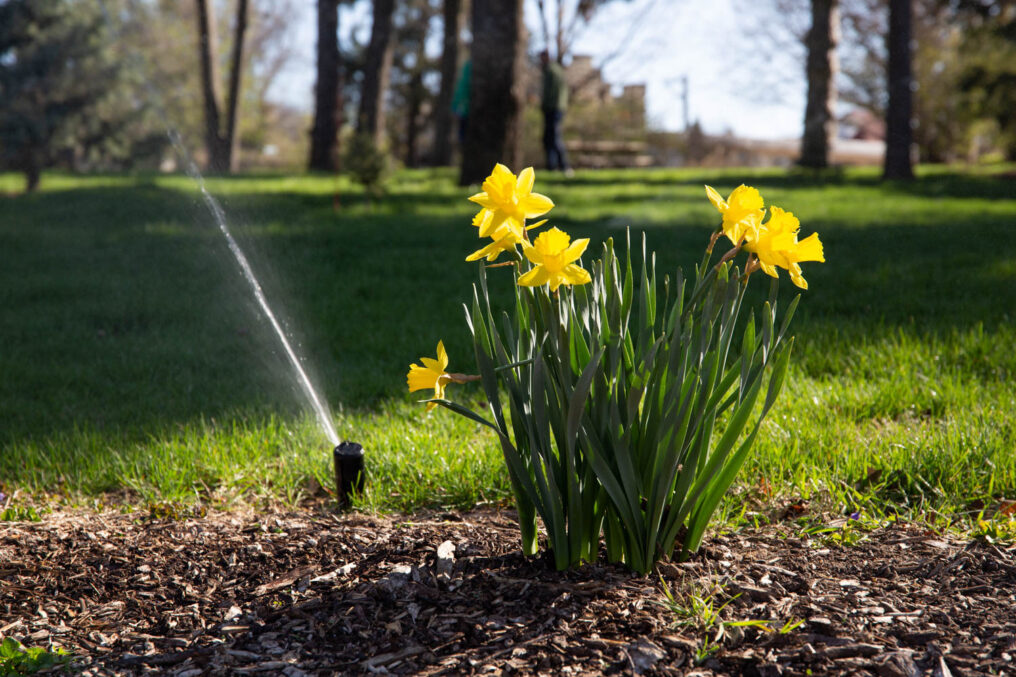Omaha Sprinkler Services: Expert Installation & Repair